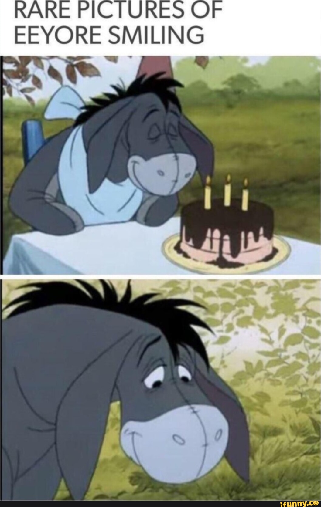 RAINE PICTURES OF EEYORE SMILING - iFunny