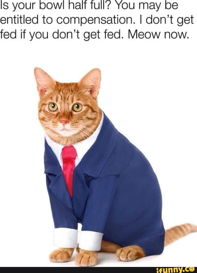 Nali Memes Pinterest