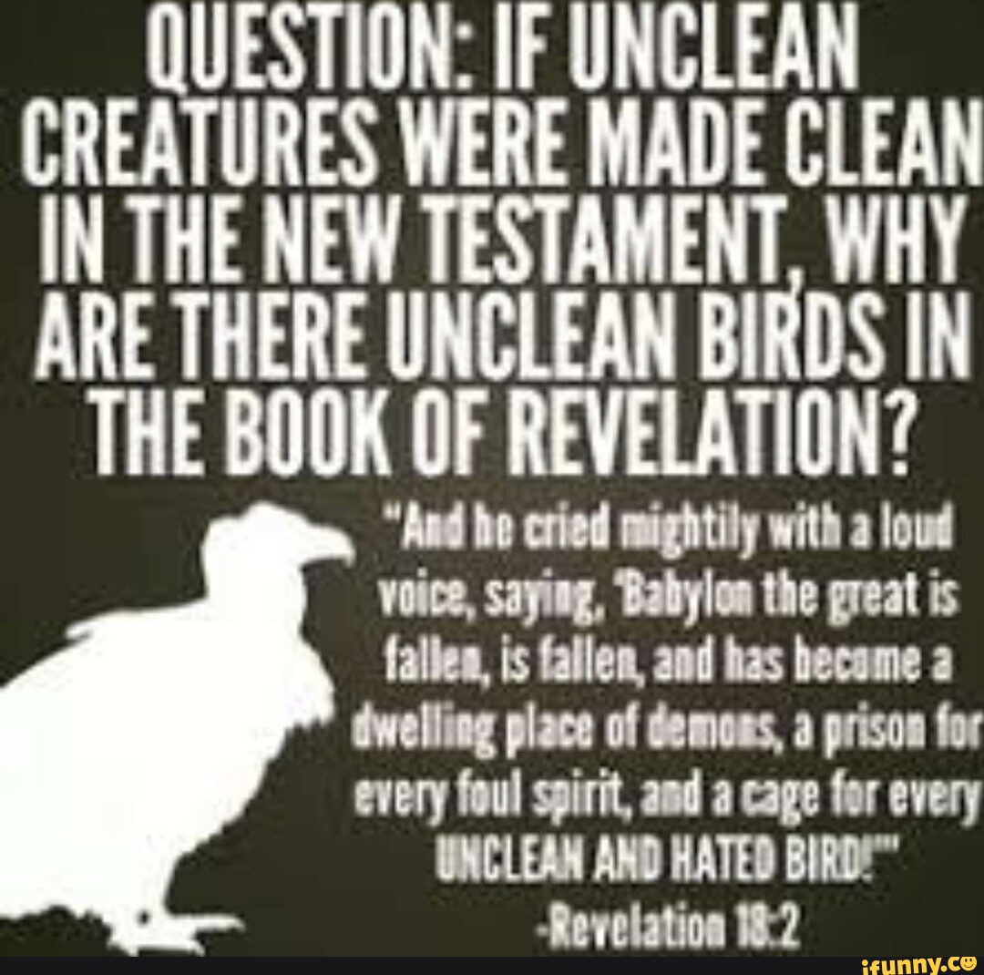 Unclean memes. Best Collection of funny Unclean pictures on iFunny