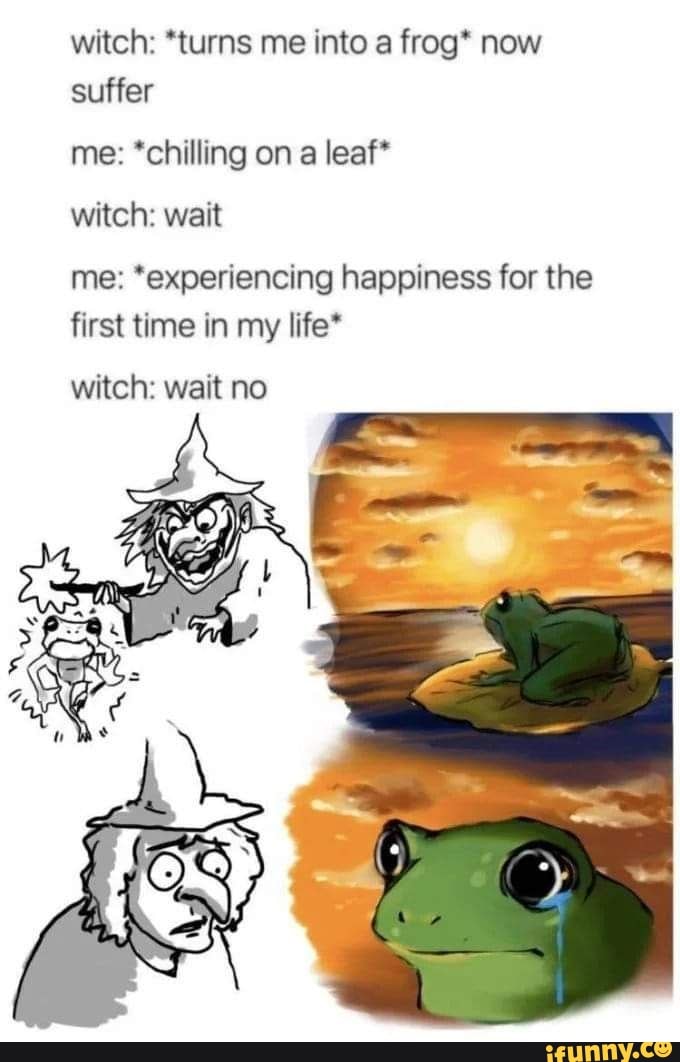 Witch: *turns me into a frog* now suffer me: *chilling on a leaf* witch ...