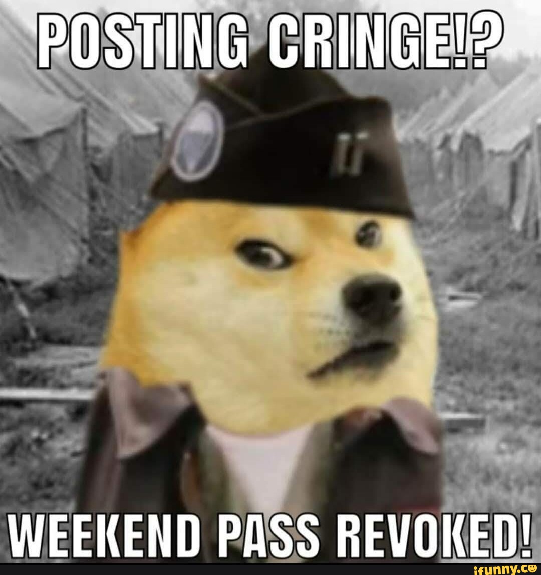 Gringe memes. Best Collection of funny Gringe pictures on iFunny