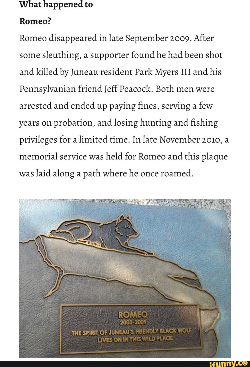 Juneau memes. Best Collection of funny Juneau pictures on iFunny