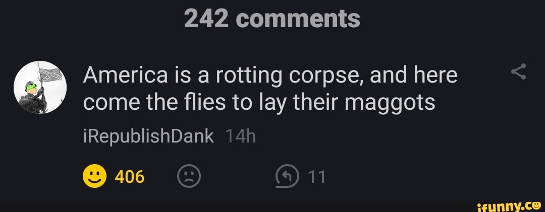 242 comments America is a rotting corpse, and here come the flies to ...