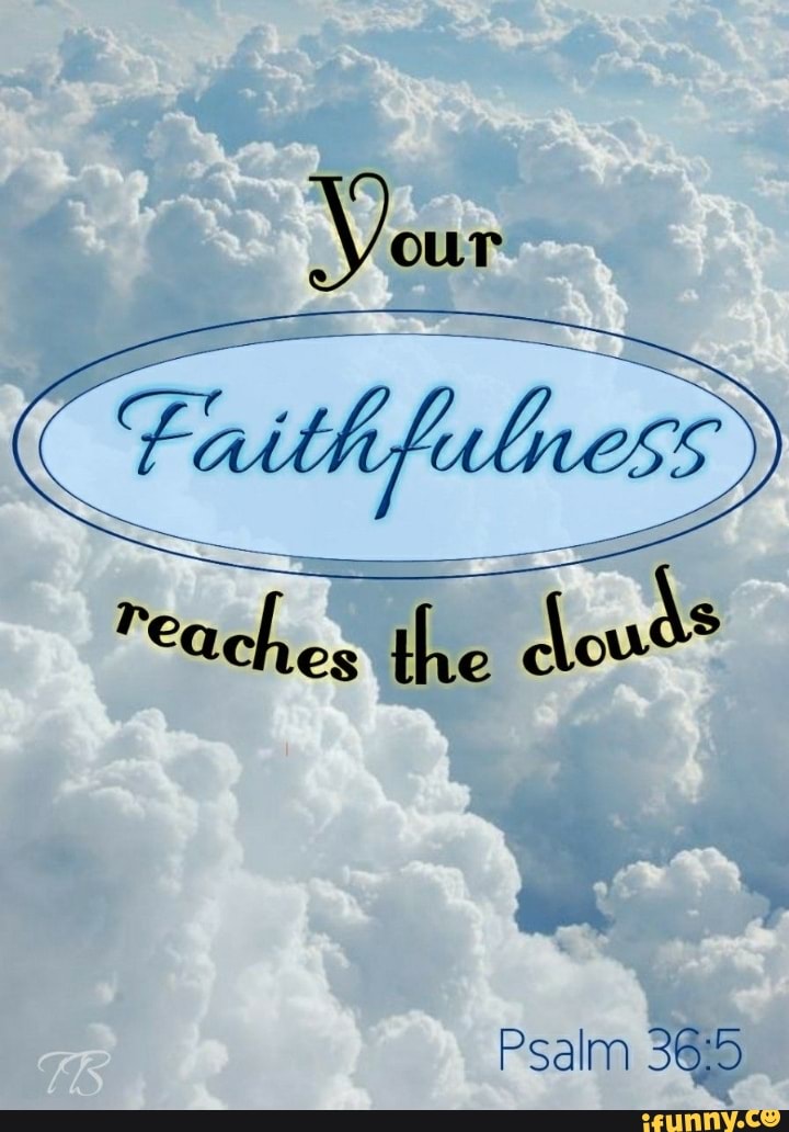 Eaches memes. Best Collection of funny Eaches pictures on iFunny