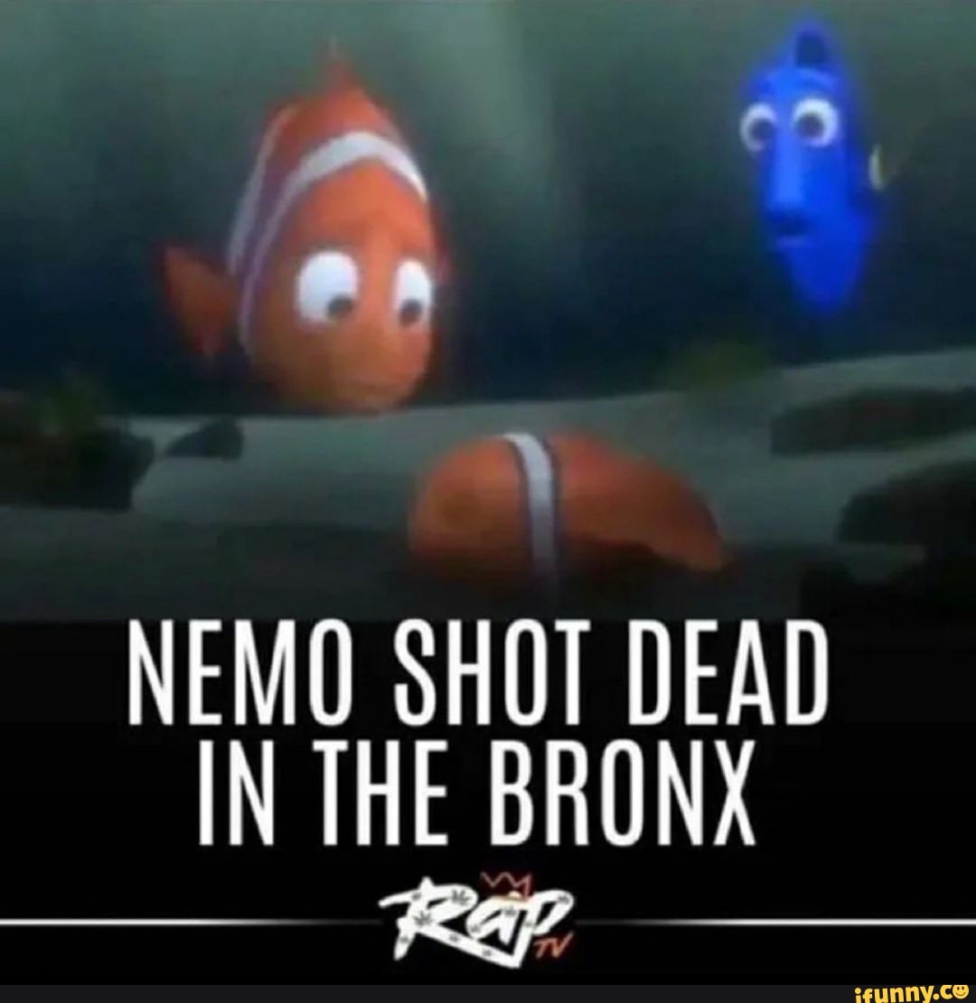 NEMO SHOT DEAD IN THE BRONX - iFunny