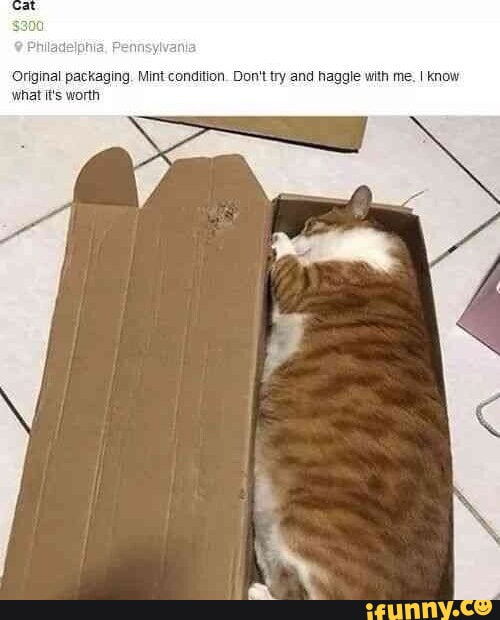 Haggle memes. Best Collection of funny Haggle pictures on iFunny