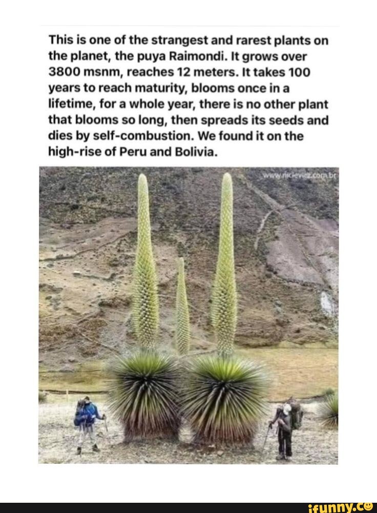 Meters memes. Best Collection of funny Meters pictures on iFunny