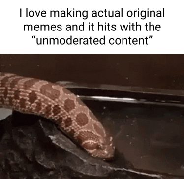 I love making actual original memes and it hits with the "unmoderated ...