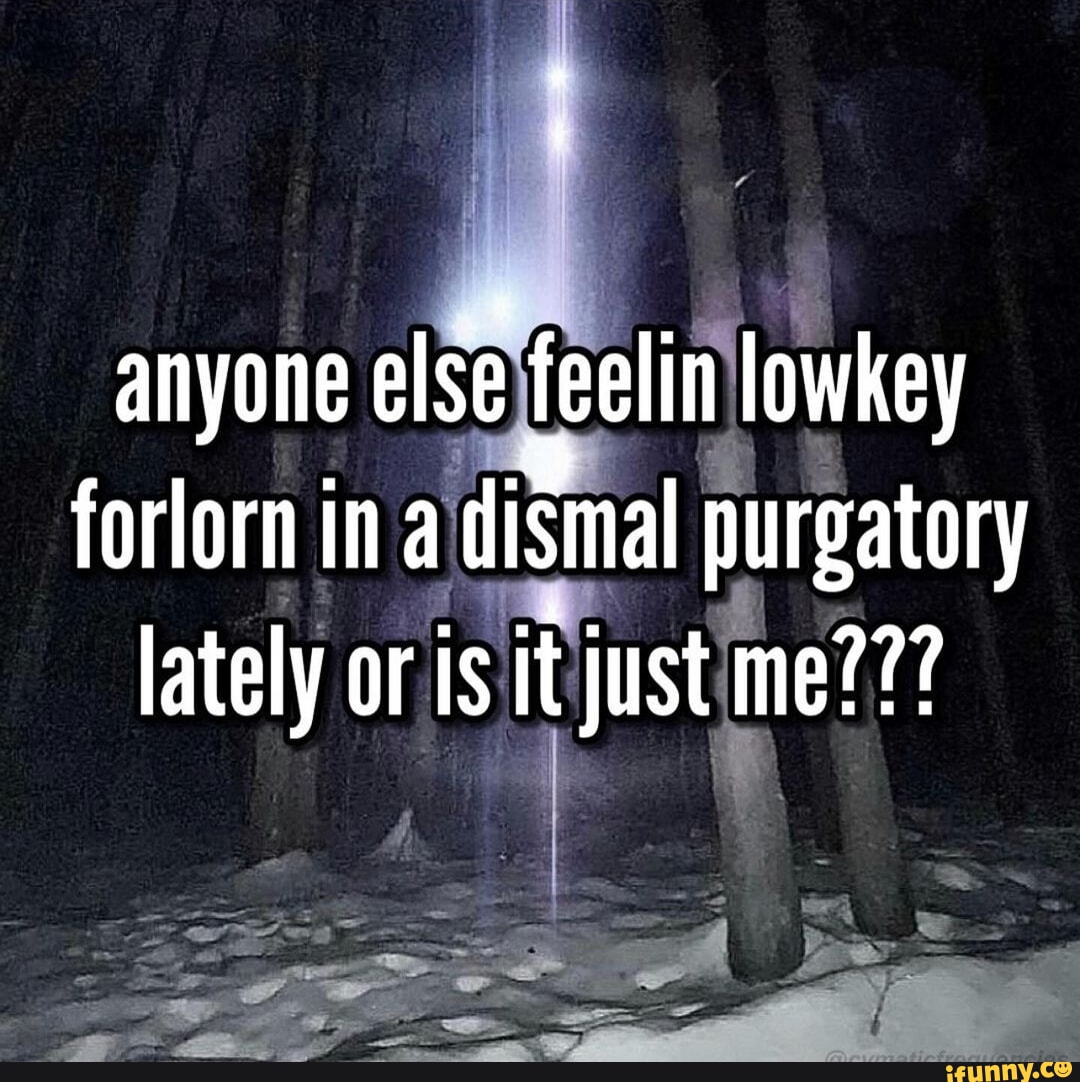 Forlorn memes. Best Collection of funny Forlorn pictures on iFunny