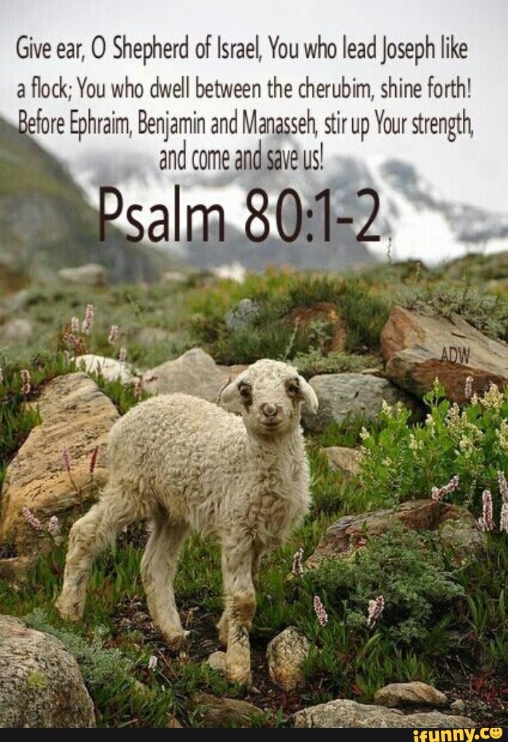 Give ear, O Shepherd of Israel, You who lead Joseph like a flock; You ...