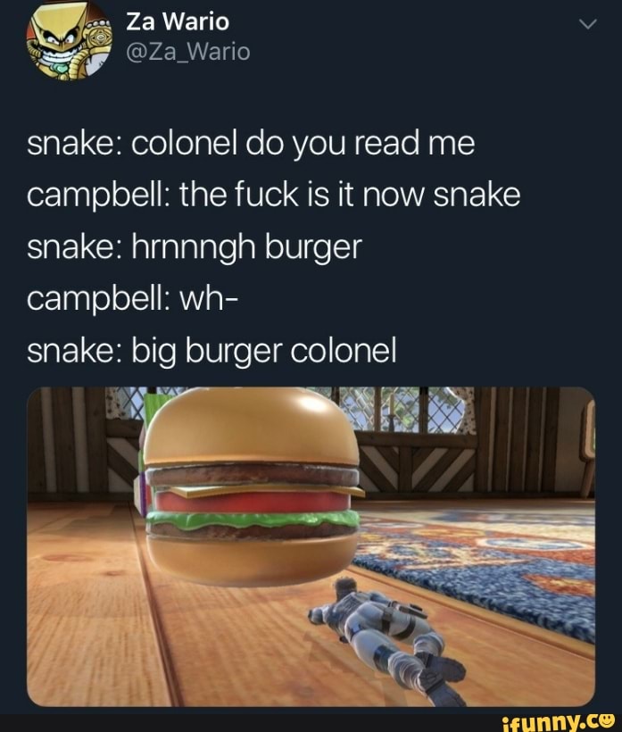 Snake: colonel do you read me campbell: the fuck is it now snake snake ...