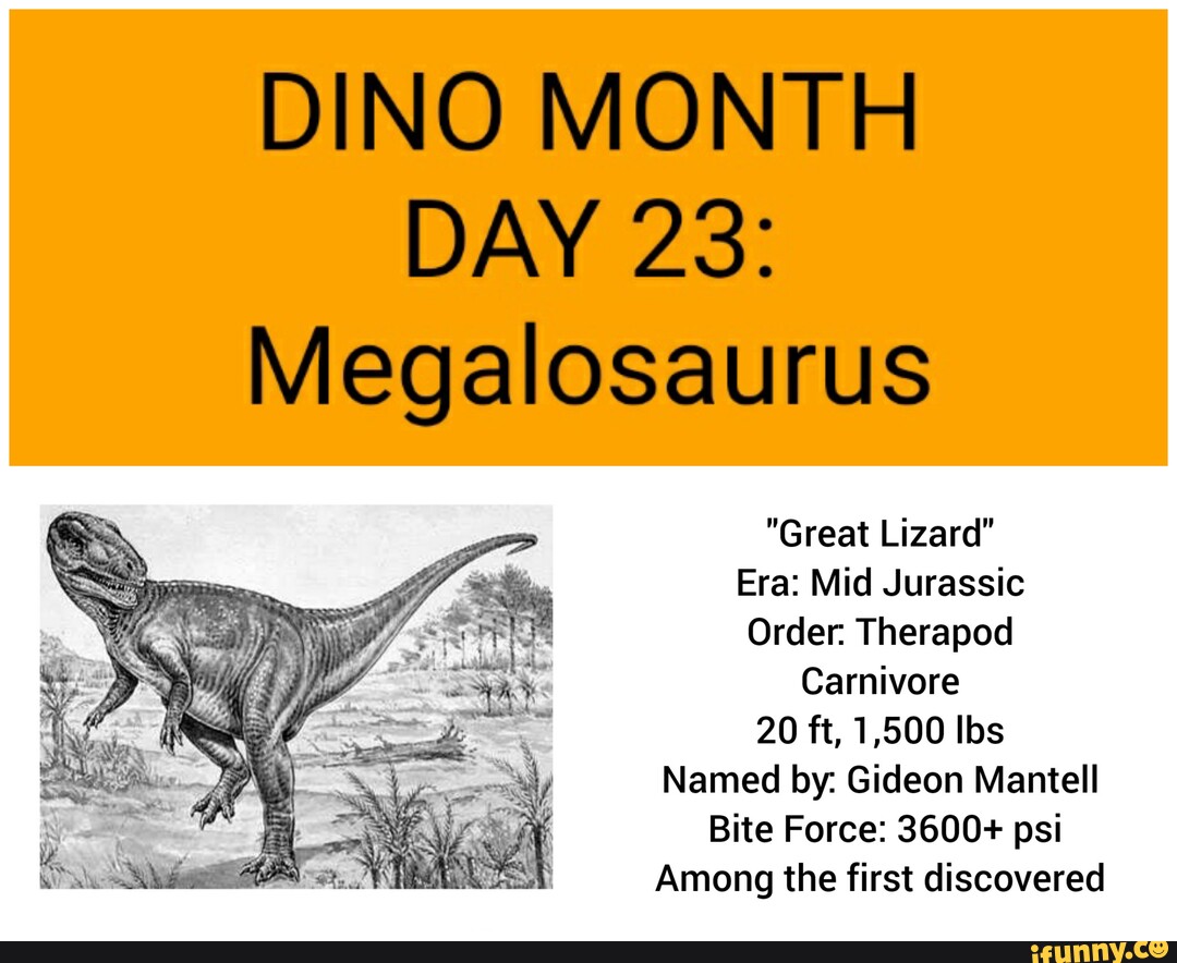 DINO MONTH DAY 23: Megalosaurus "Great Lizard" Era: Mid Jurassic Order ...