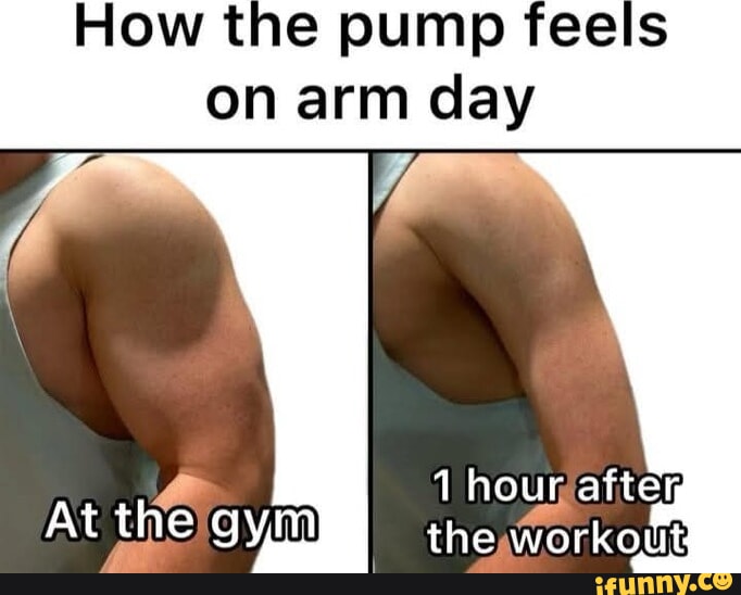 Picture memes T6F3PDuLA by captaincrunchberries: 1 comment - iFunny