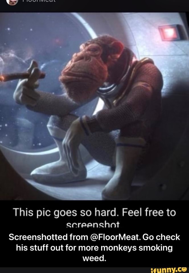 This pic goes so hard. Feel free to screenshot Screenshotted from ...