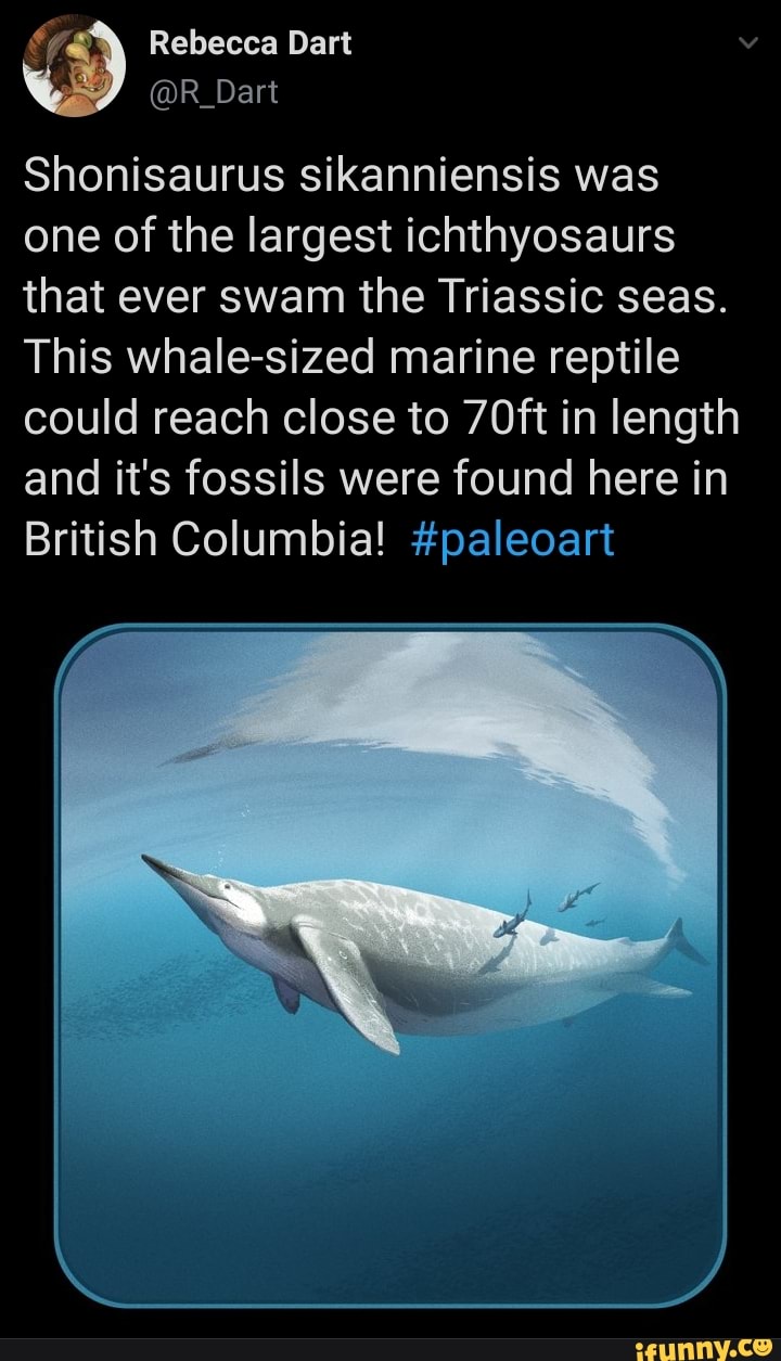 Shonisaurus memes. Best Collection of funny Shonisaurus pictures on iFunny