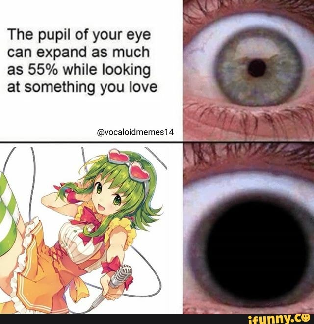 Vocaloidmeme memes. Best Collection of funny Vocaloidmeme pictures on ...