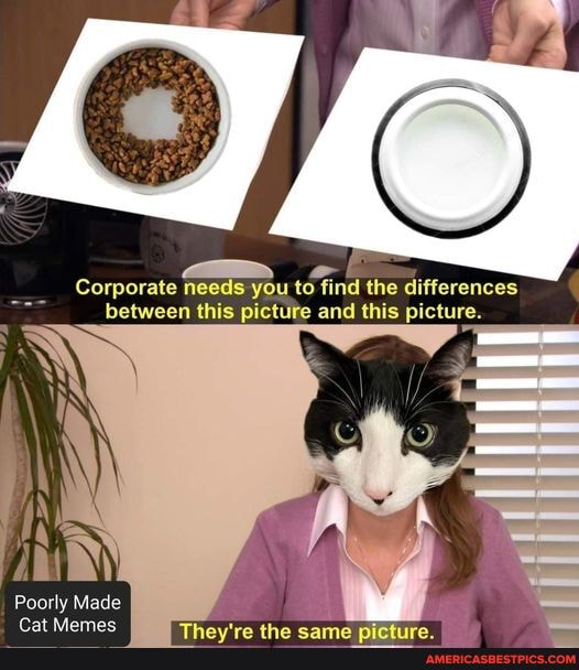 Corporate needs you to find the differences between this picture and ...