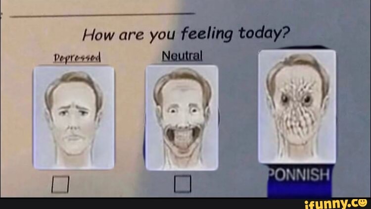 How are you feeling PONNISH - iFunny