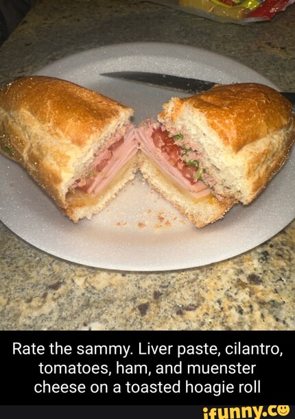 Hoagie memes. Best Collection of funny Hoagie pictures on iFunny