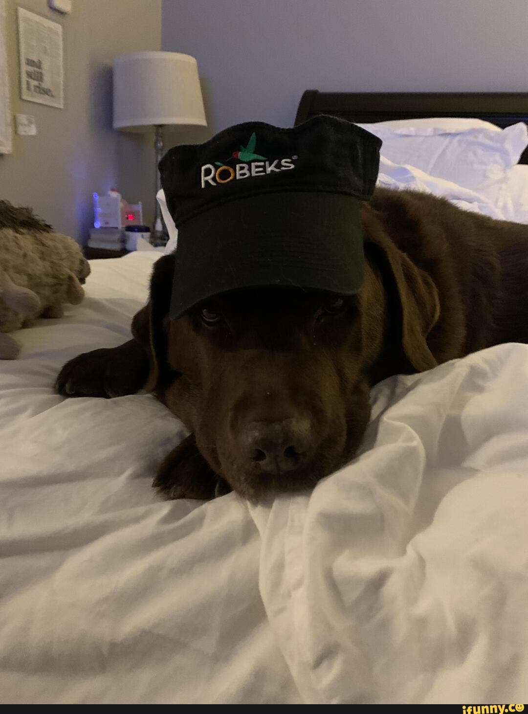 Robeks memes. Best Collection of funny Robeks pictures on iFunny
