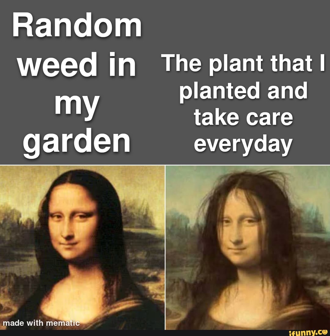 How mfs feel after saying "Didn't ask" to someone in a group chat : - )