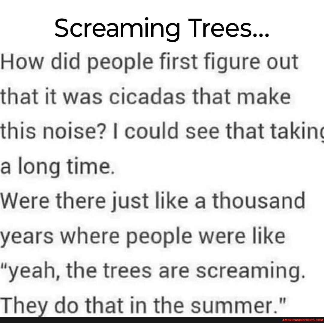 Screaming Trees... How did people first figure out that it was cicadas ...