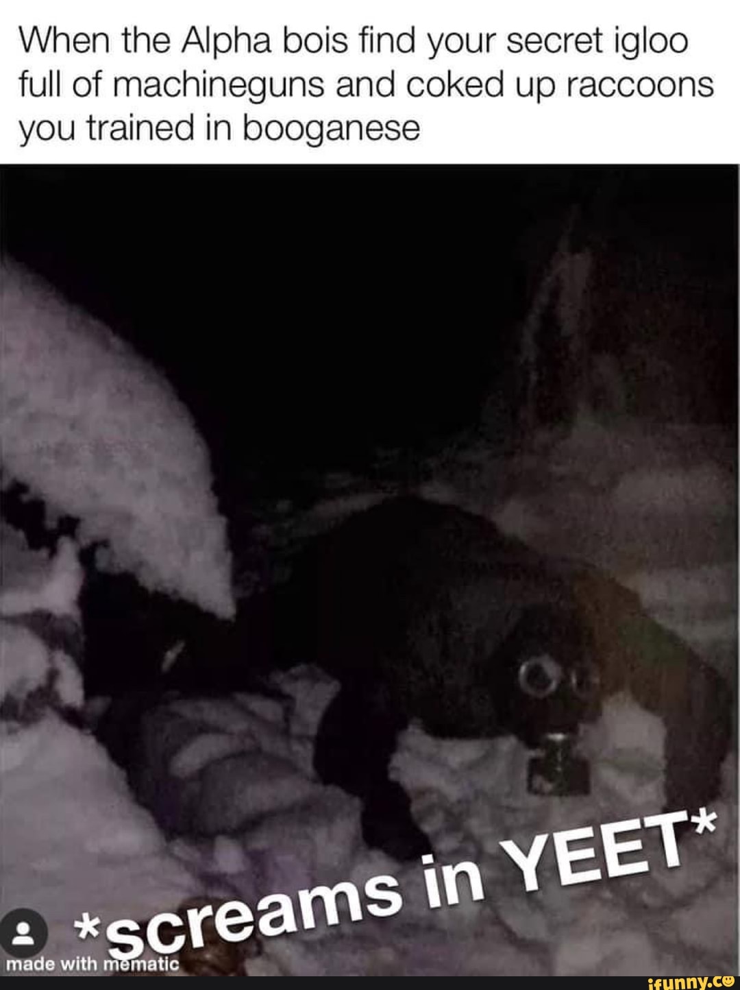 When the Alpha bois find your secret igloo full of ns and coked up ...