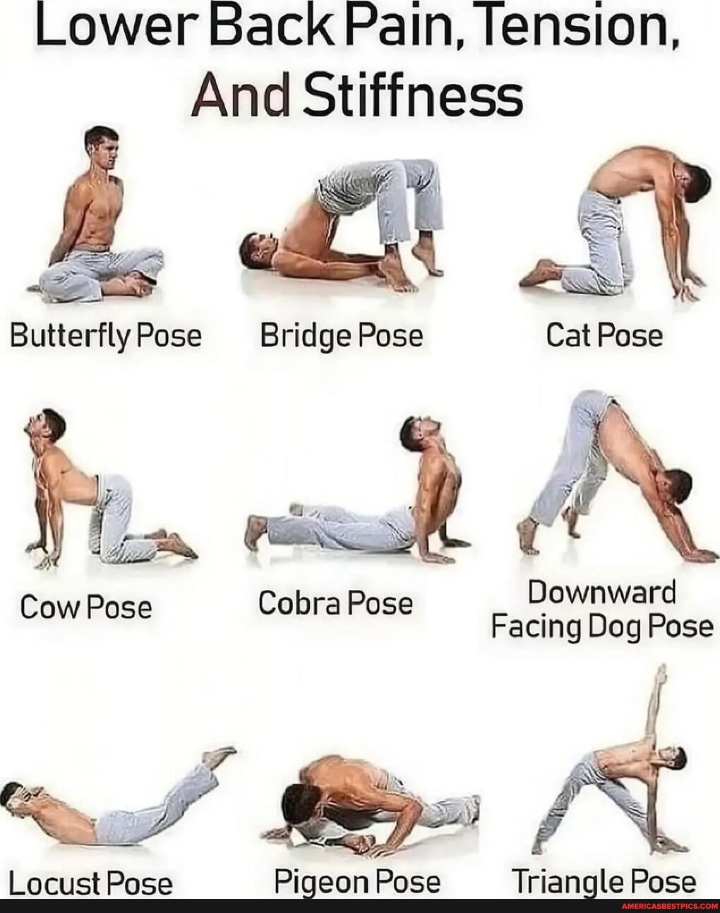 Lower Back Pain, fension, And Stiffness ButterflyPose Bridge Pose Cat ...