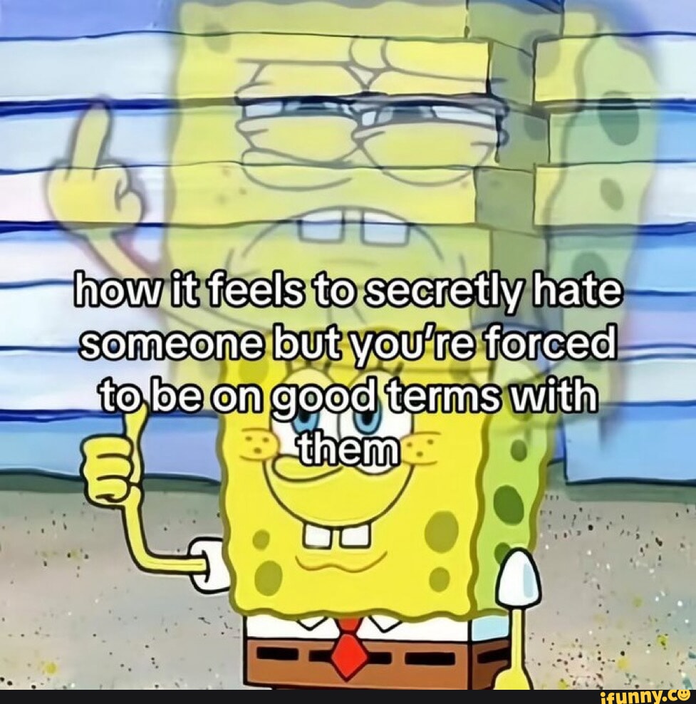 How it feels to secretly hate someone but you're forced to'be on good ...