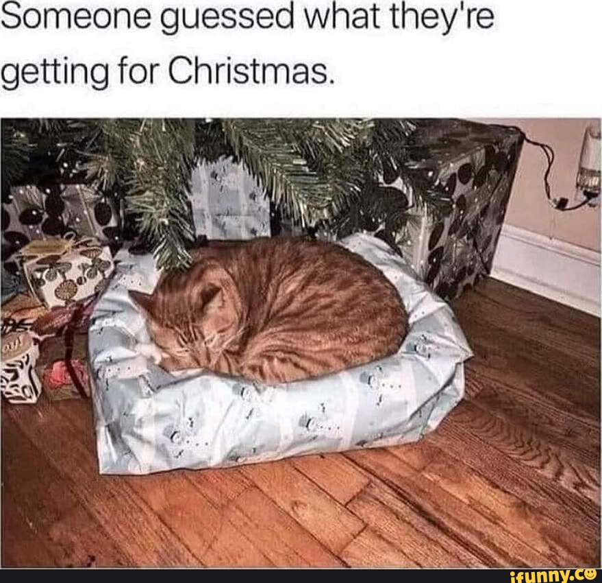 Someone guessed what they re getting for Christmas. - iFunny