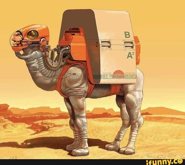 Camel memes. Best Collection of funny Camel pictures on iFunny