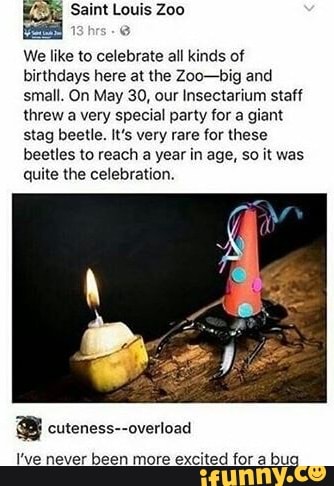 Saint Louis Zoo We like to celebrate all kinds of birthdays here at the ...