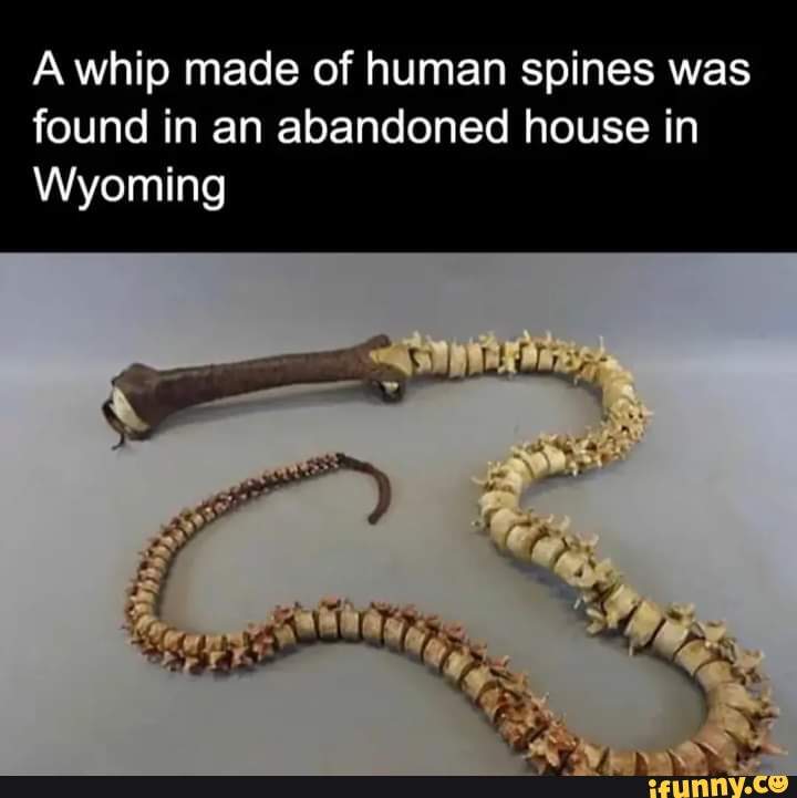 A whip made of human spines was found in an abandoned house in Wyoming ...