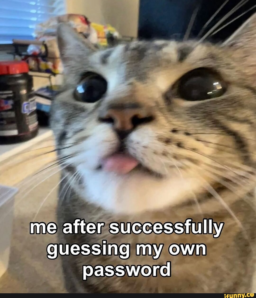 Password memes. Best Collection of funny Password pictures on iFunny