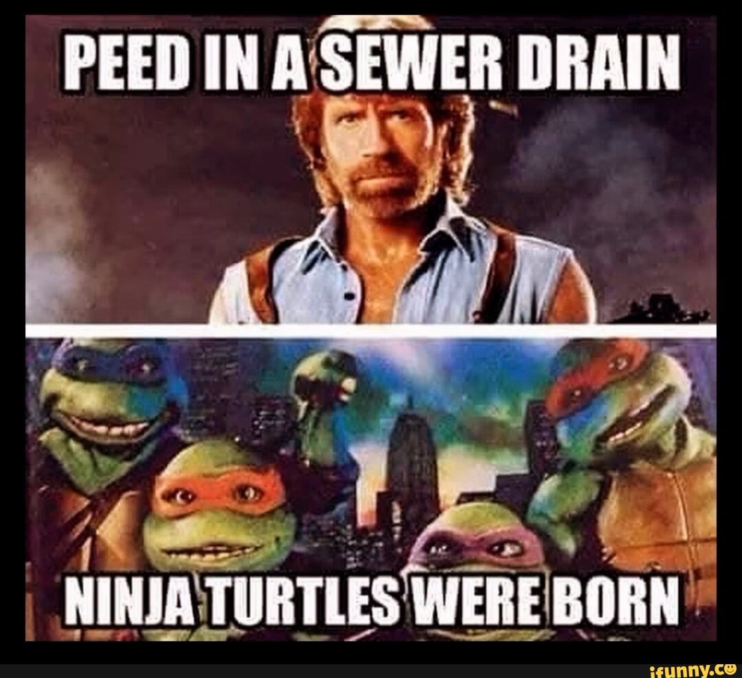 PEED IN A SEWER DRAIN HINJA TUBTLES WERE BORN - iFunny