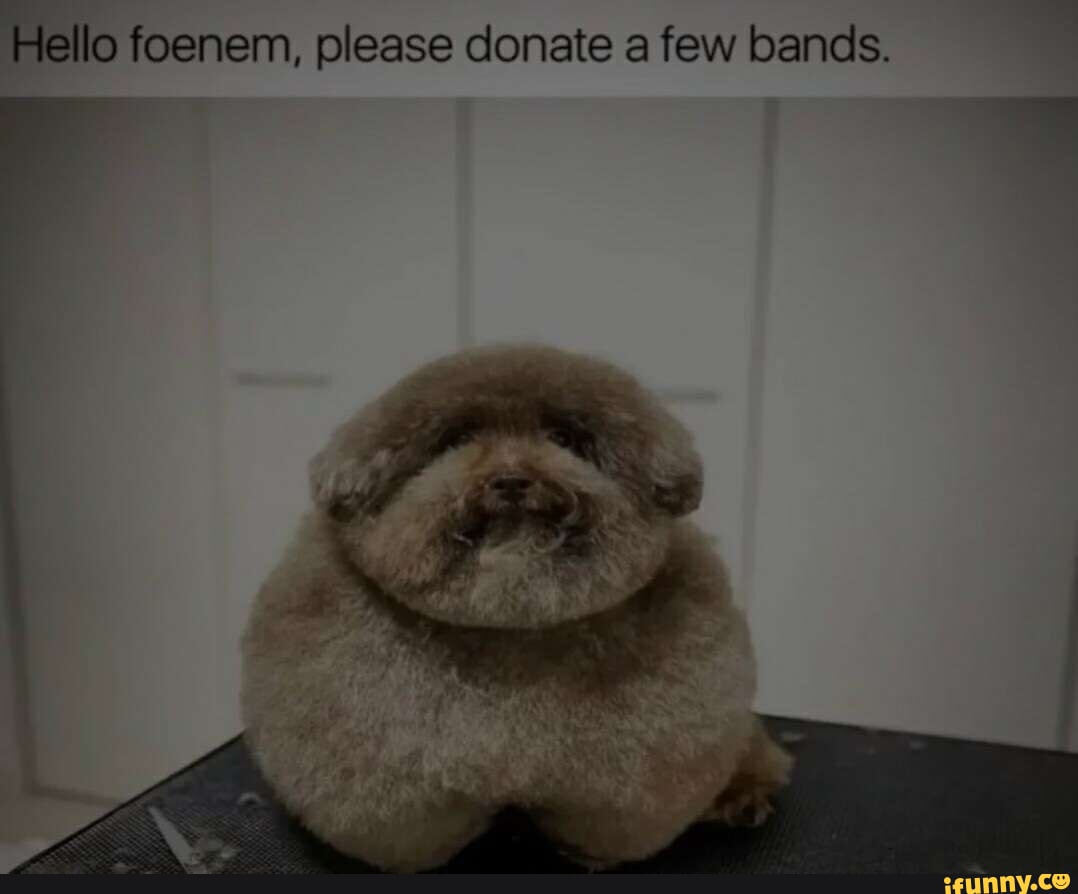 Foenem memes. Best Collection of funny Foenem pictures on iFunny