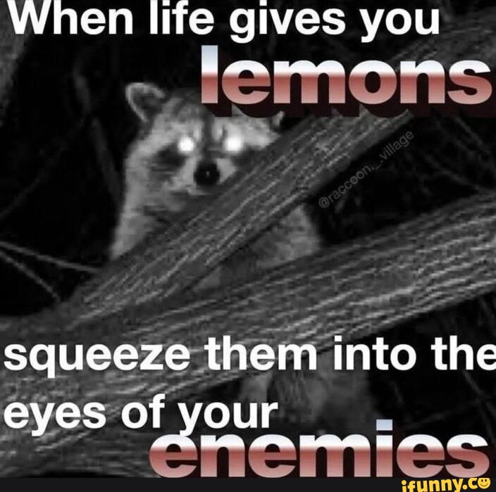 Picture memes kitwDfwz9 by RykersMuffins: 121 comments - iFunny