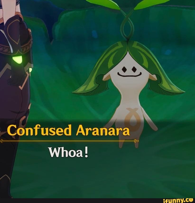 Aranara memes. Best Collection of funny Aranara pictures on iFunny