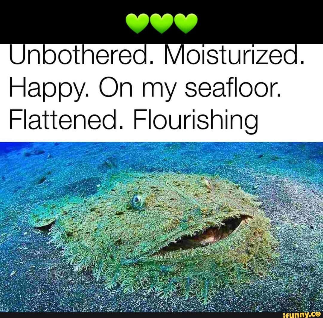 Some getting - iFunny