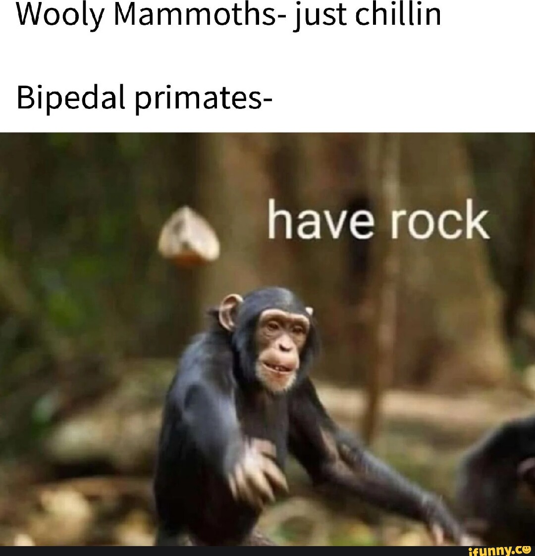 Wooly memes. Best Collection of funny Wooly pictures on iFunny