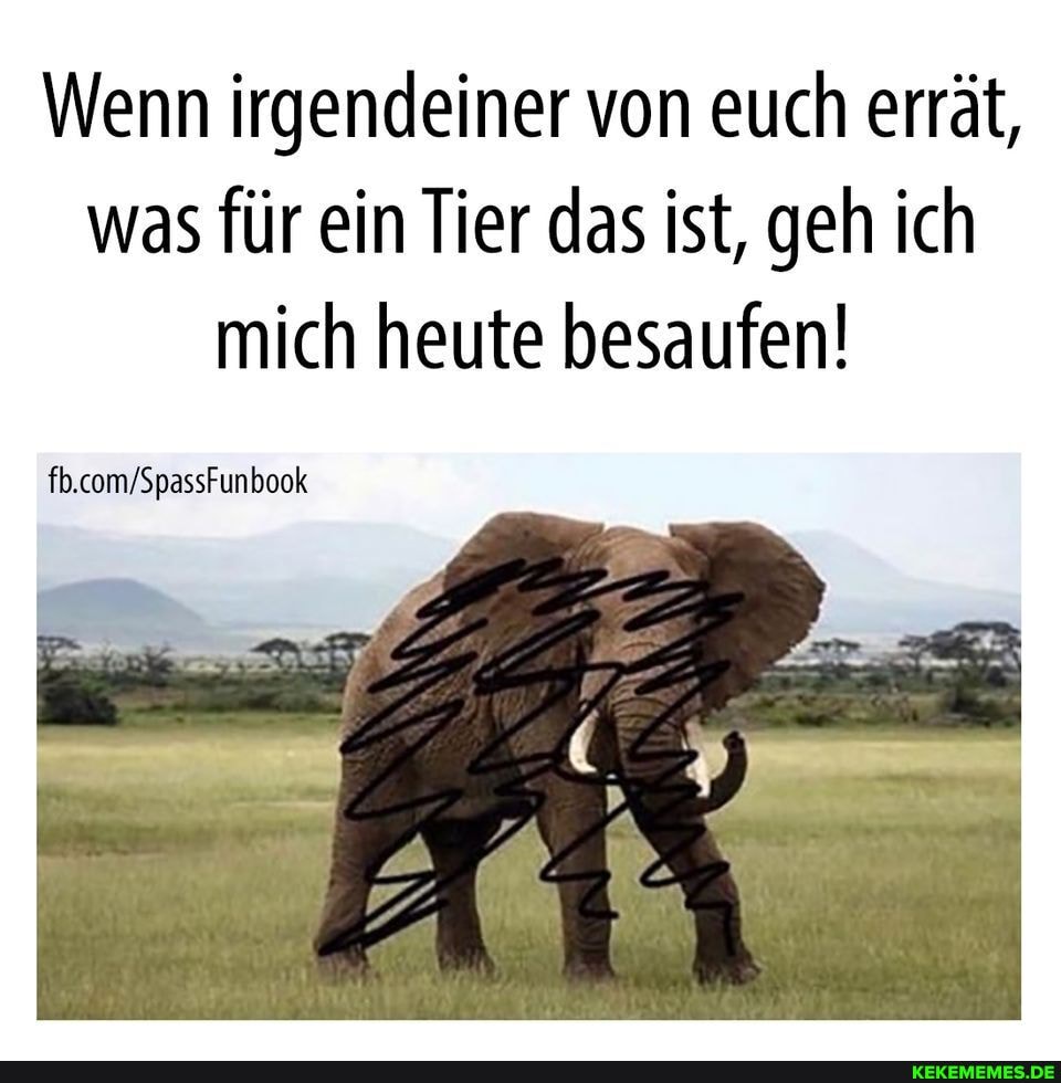 Die beliebtesten Flachwitze Memes auf Keke