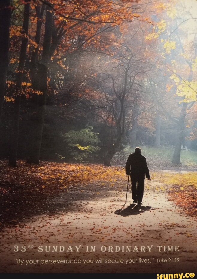 Be SUNDAY IN ORDINARY TIME "By your perseverance you will secure your ...