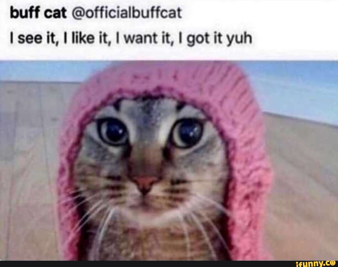 Buff cat @officialbuffcat I see it, like I it, I want it, I got it yuh ...