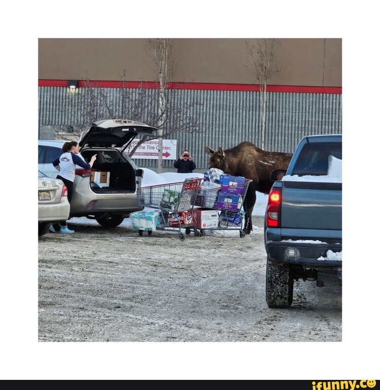 Scolding memes. Best Collection of funny Scolding pictures on iFunny