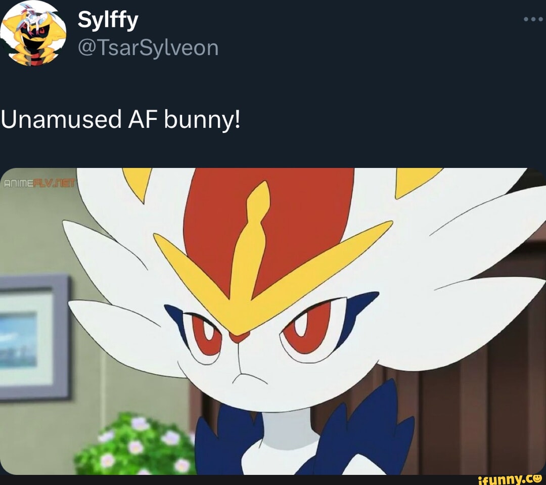 Unamused memes. Best Collection of funny Unamused pictures on iFunny