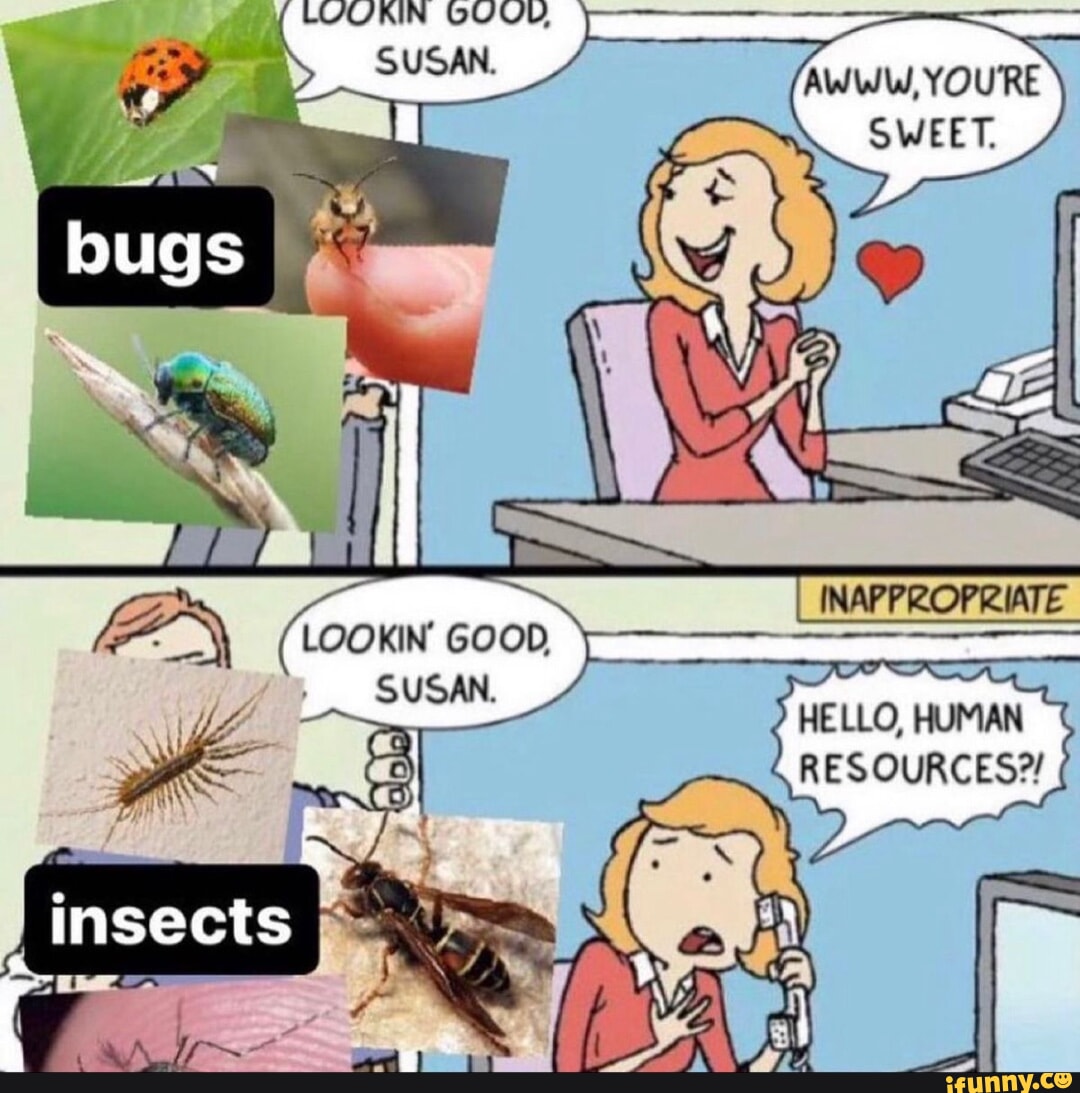 Susan memes. Best Collection of funny Susan pictures on iFunny