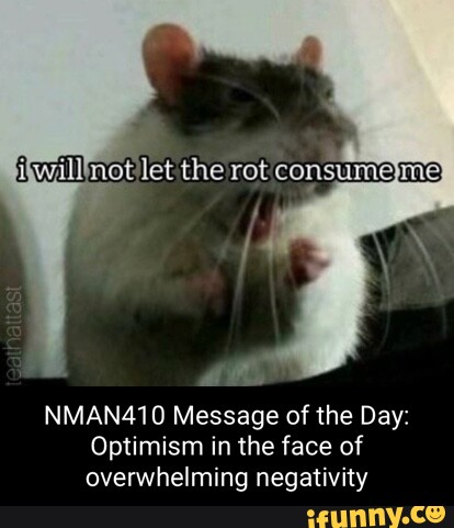 Let let the rot consume NMAN410 Message of the Day Optimism in the face ...