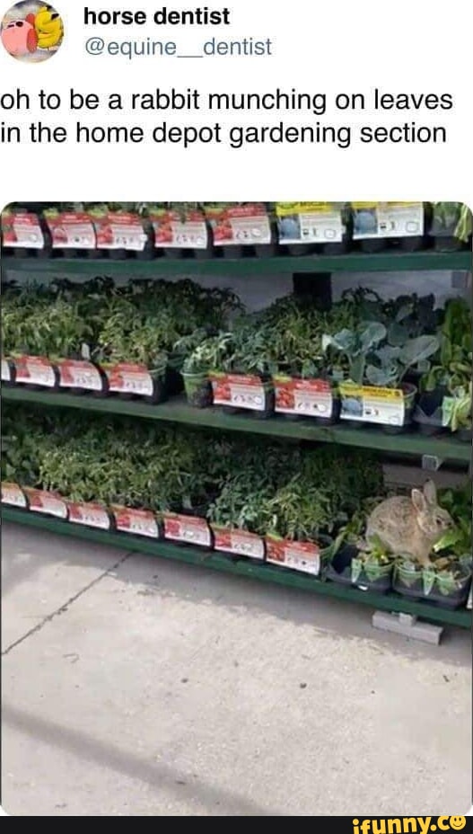 Home Workouts Follow @its gymtime Push ups 3 x 15 Squats 4 x 15 Pull ...