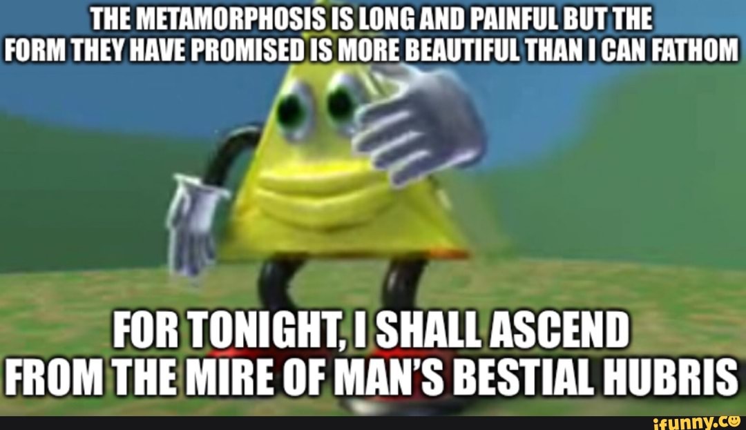 THE METAMORPHOSIS IS LONG AND PAINFUL BUT, THE FORM THEY HAVE PROMISED ...