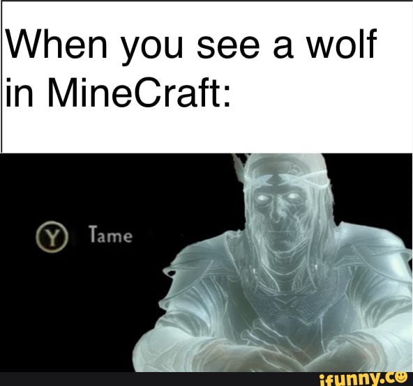 When you see a wolf in MineCraft: - iFunny